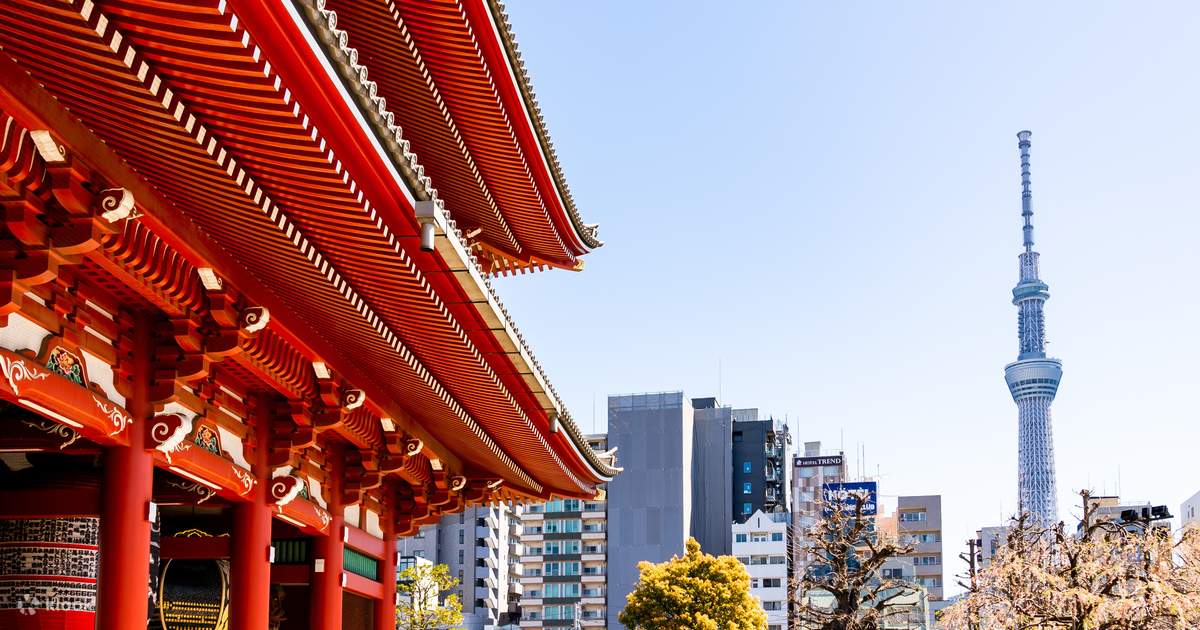 Tokyo Asakusa & Skytree Half-Day Immersive Experience - Klook