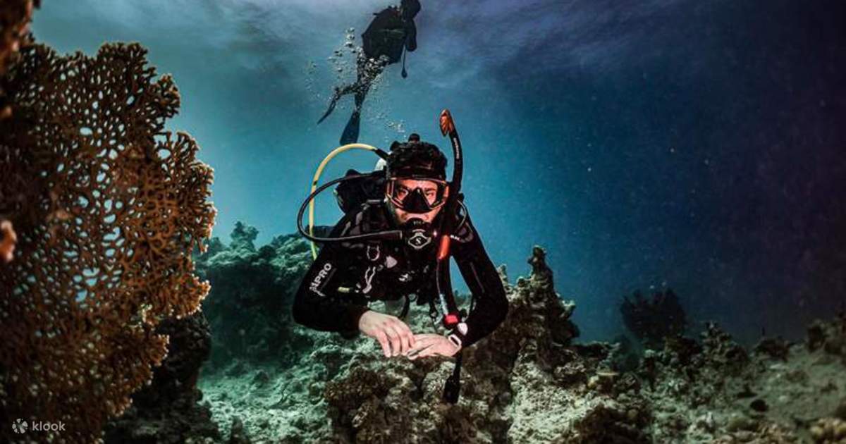 Scuba diving experience in Jeddah - Klook United Kingdom