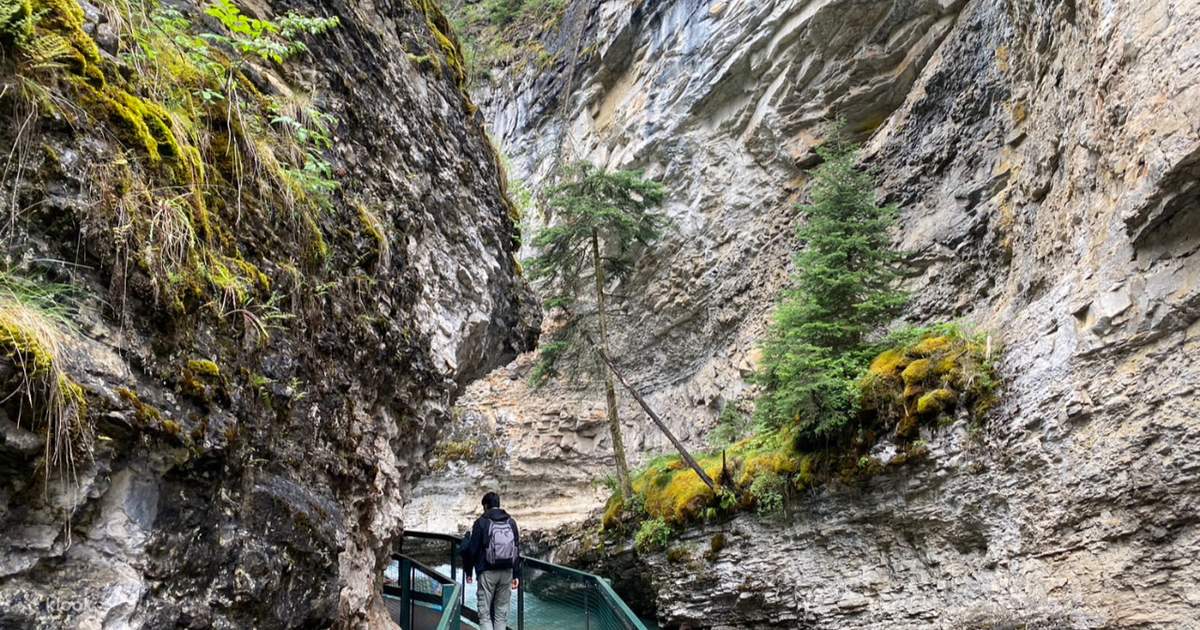 Lake Louise & Johnson Canyon Bus Tour from Canmore or Banff - Klook ...