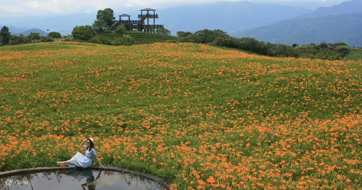 Hualien Sixty Stone Mountain Flower Sea Half-Day Tour - Klook Philippines