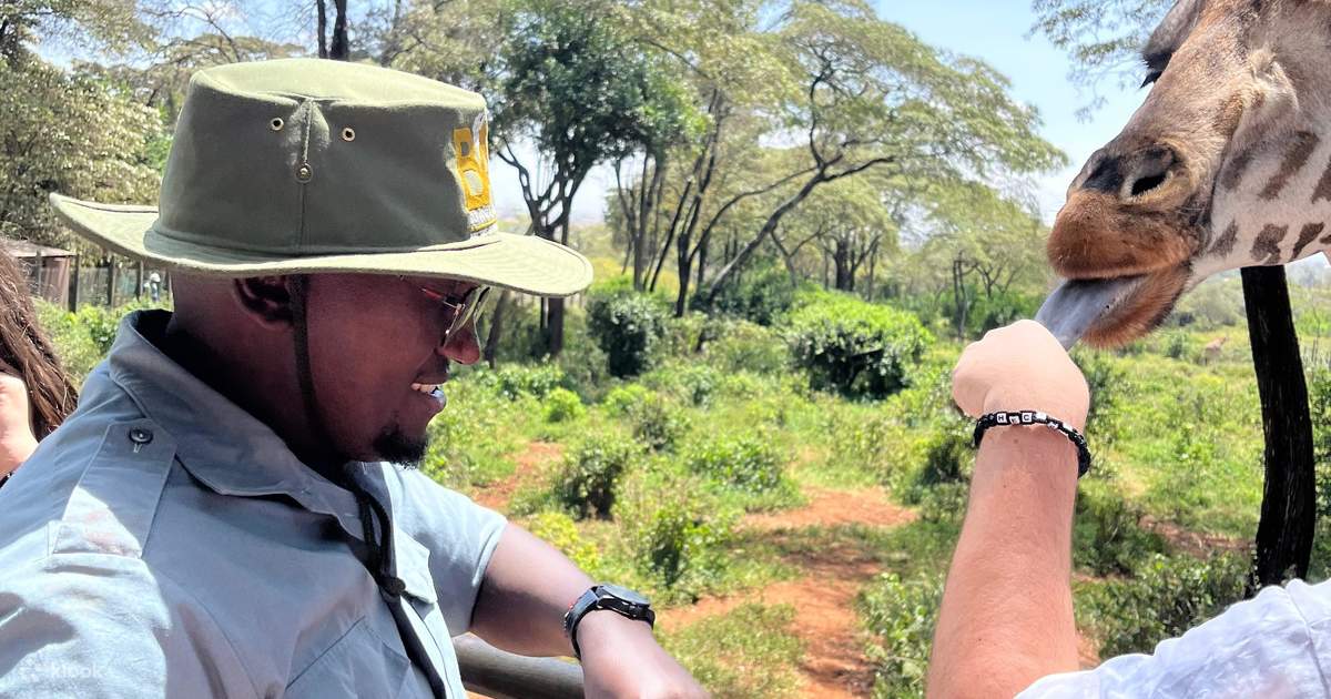Full-Day Nairobi National Park & Giraffe Centre Safari - Klook