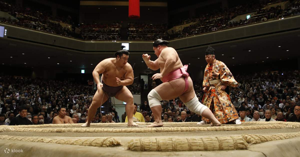 Osaka | Sumo Championship Live Viewing Experience (Includes Event ...
