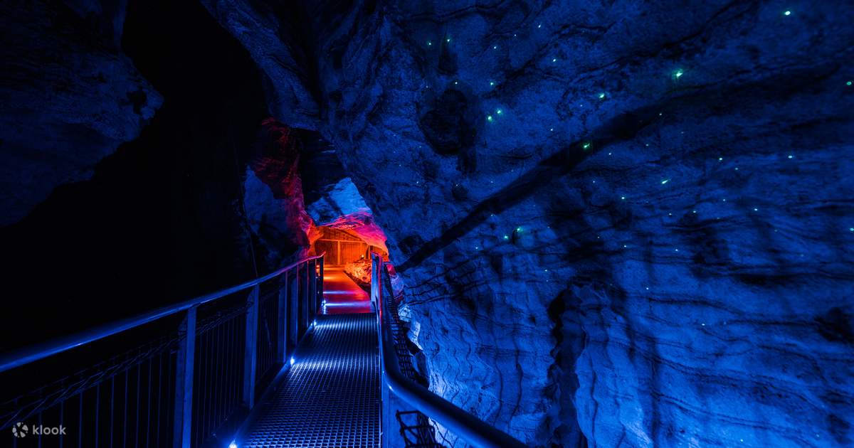 Tour trọn ngày khám phá hang động đom đóm Waitomo & Ruakuri từ Auckland ...
