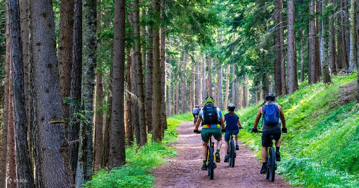 Balcon d'Azur E-Bike Tour in Mandelieu-La Napoule - Klook United Kingdom