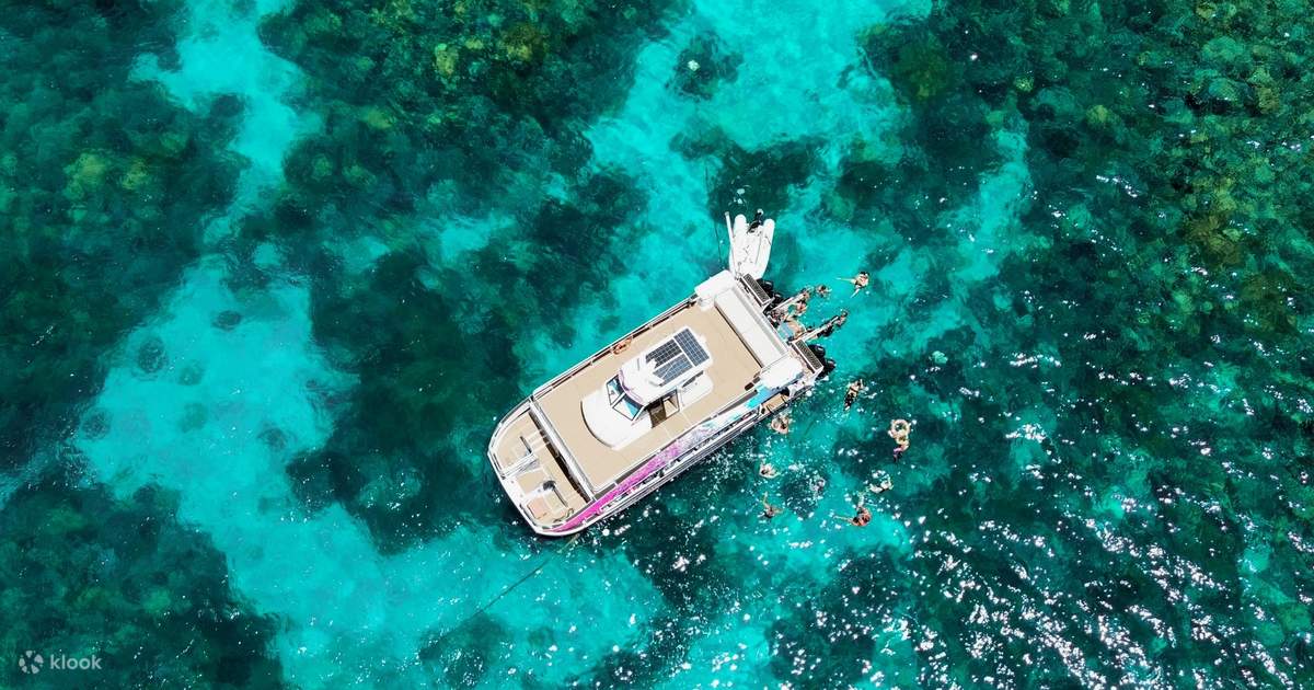 Half Day Great Barrier Reef Tour in Cairns - Klook Australia