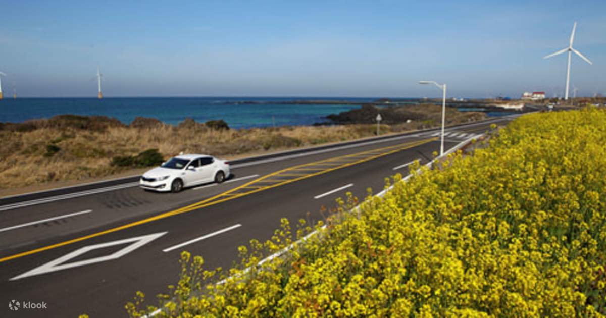 Jeju Island Private Car Charter (Airport Transfer & Sightseeing ...