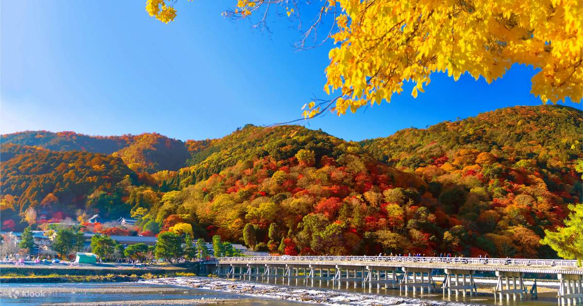 Autumn in Kyoto: Minoh, Sagano Train, Arashiyama & Kinkakuji - Klook ...