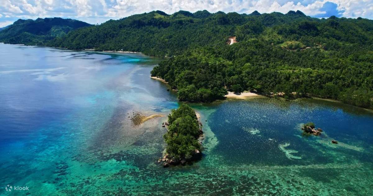 Đắm mình trong làn nước: Chuyến lặn biển cả ngày ở Sipalay với PADI 5 ...