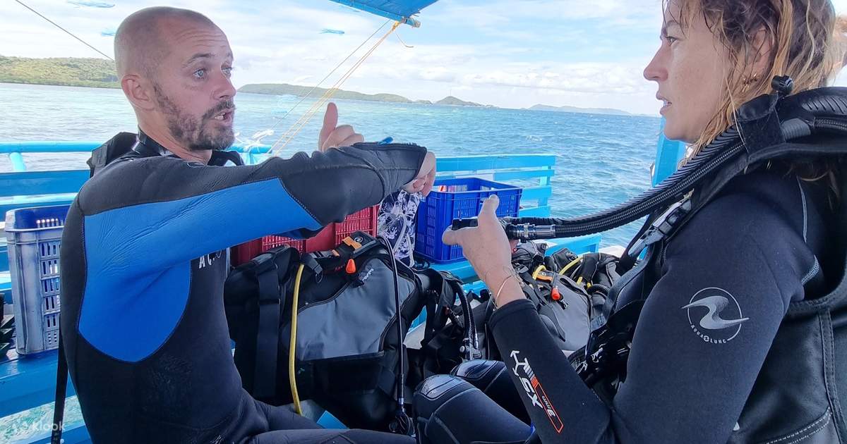 Experimente o Mundo Subaquático: PADI Discover Scuba Diving em Palawan ...