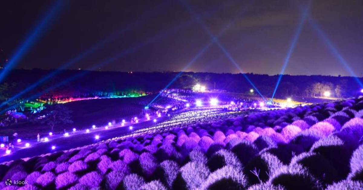 Tokyo Hitachi Seaside Park & Ami Outlets Day Tour - Klook