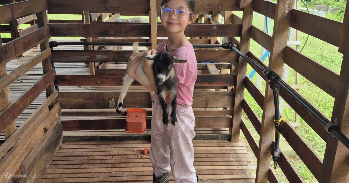 ทัวร์ Gentle Farms ใน ยะโฮร์บาห์รู - Klook ประเทศไทย