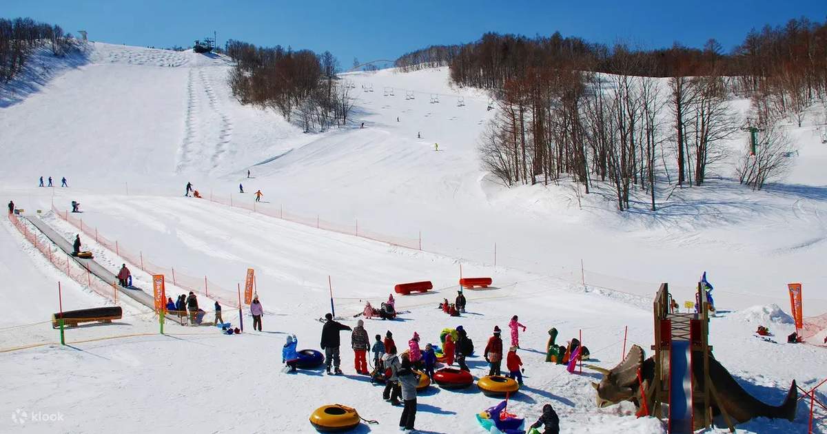 Easy Snow Fun Day Trip: Teine Ski Resort SnowLand + Otaru Half-Day Tour ...
