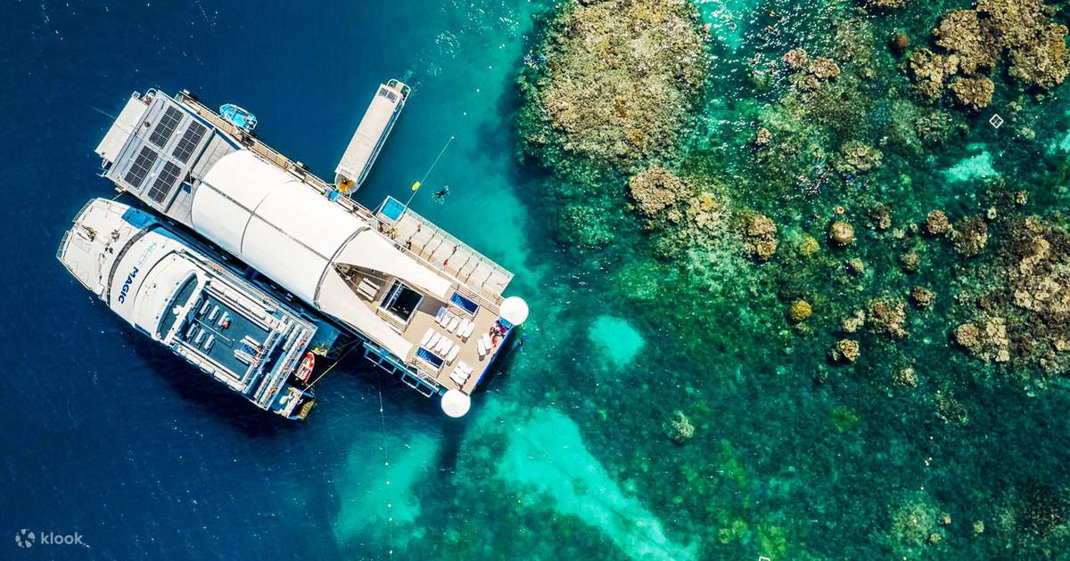 Great Barrier Reef Full-Day Snorkel & Sun Deck Tour - Klook India