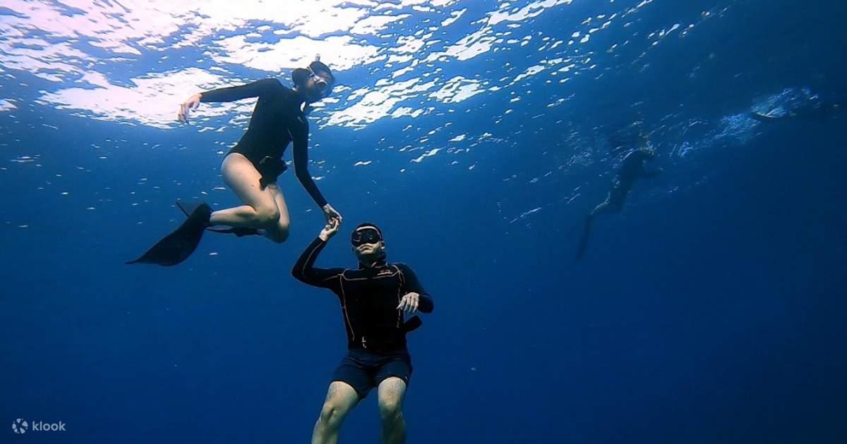 New Taipei Gongliao Longdong Diving OW・AOW Certification・Freediving ...