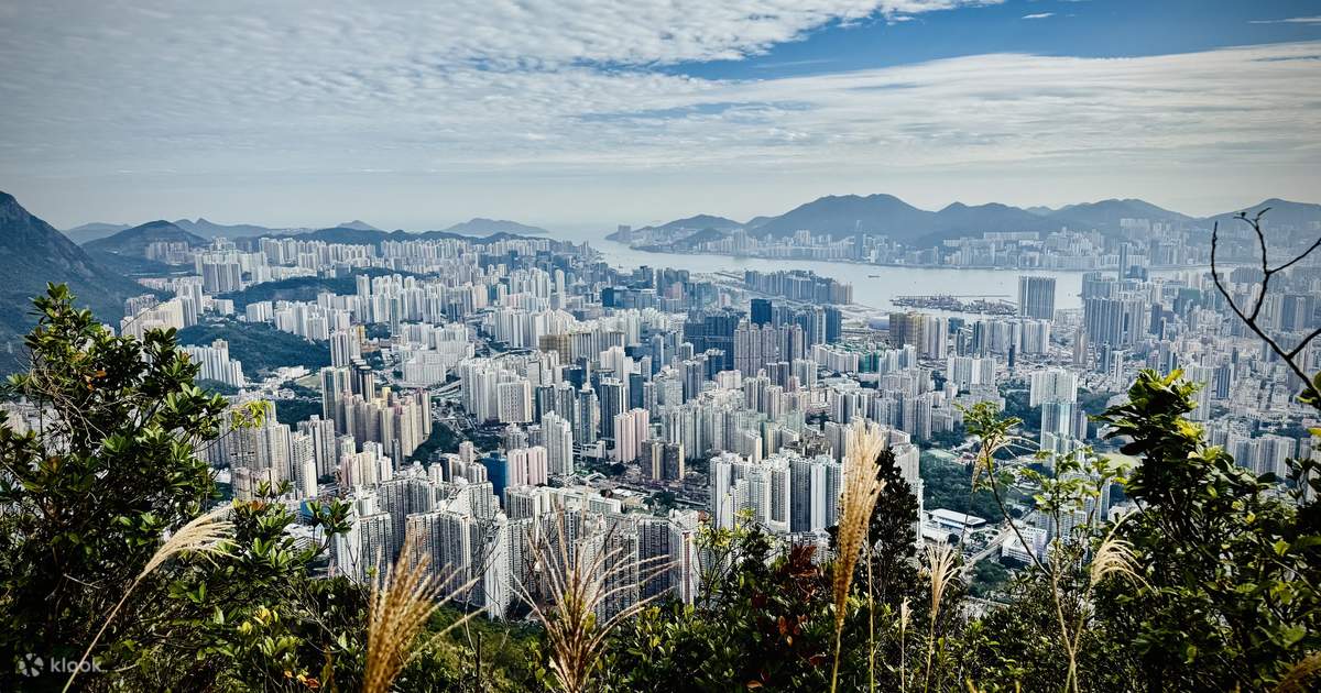 Tour Nửa ngày Đi bộ đường dài & Viên ngọc ẩn ở Tung Yeung Shan(533m ...