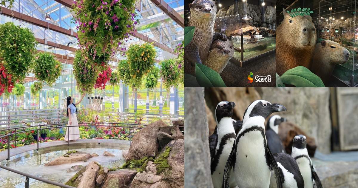 Gapyeong Nature Tour: Aqua Garden, Begonia Bird Garden & SeenB Zoo ...