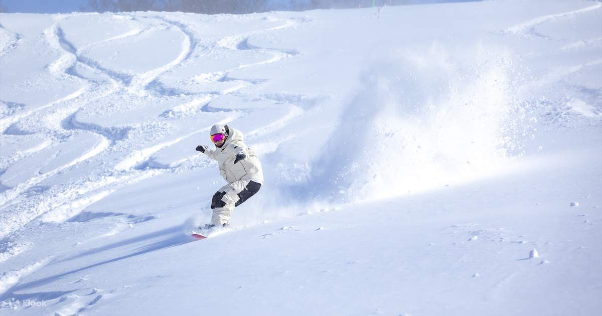 Tambara Ski Park Route Day Tour from Tokyo - Klook