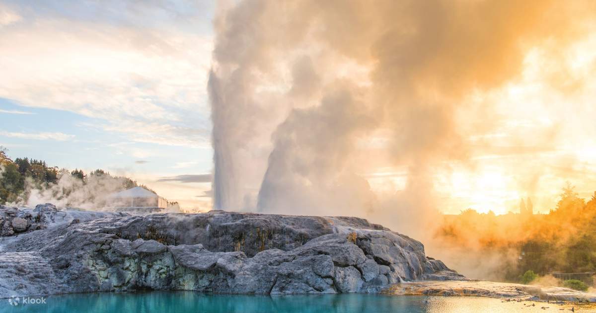 Waitomo & Rotorua Day Tour dari Auckland dengan Te Puia - Klook Indonesia