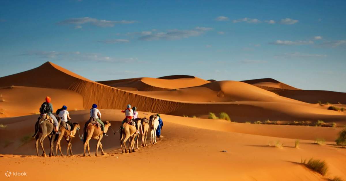 Oman Desert & Oasis Adventure from Muscat - Klook The Bahamas