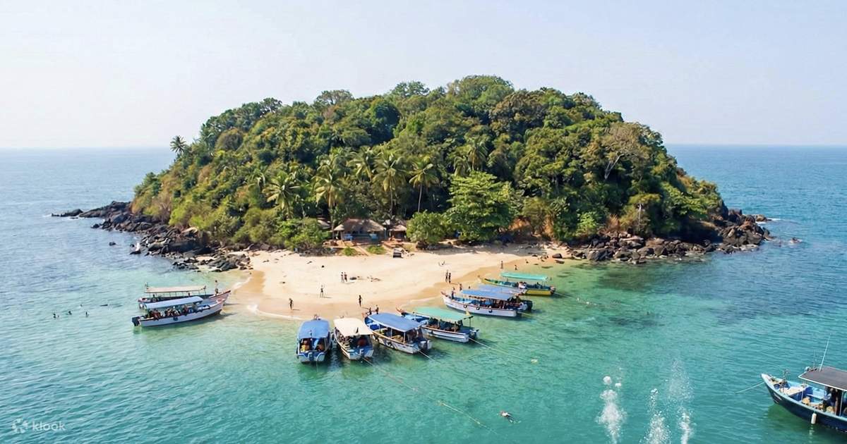 North Goa: Scuba Diving At Grande Island - Klook Canada