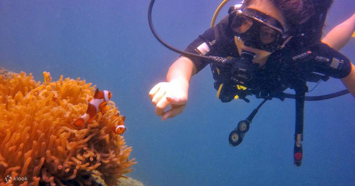 Tunku Abdul Rahman Island Diving Experience in Sabah, Malaysia - Klook ...