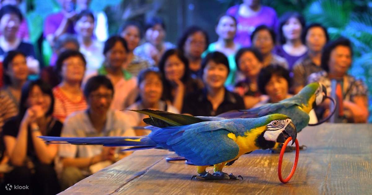 Green World Ecological Farm Ticket - Klook Australia