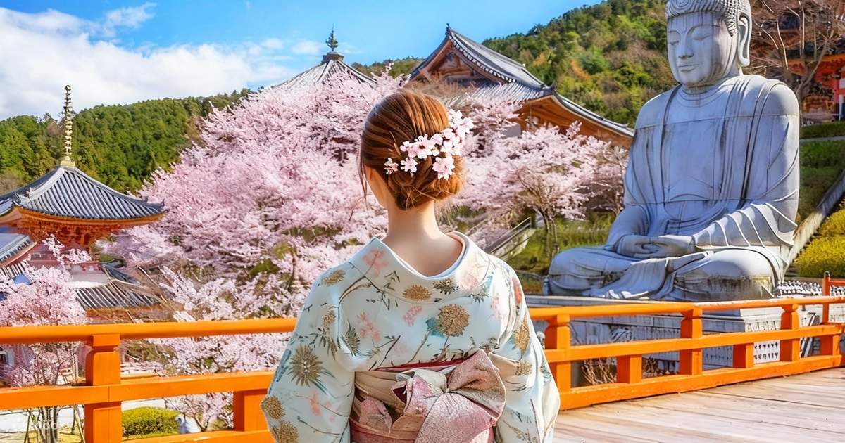 Eintägige Kirschblüten-Tour durch den Nara-Park, die Yōbe-Kirschbäume ...