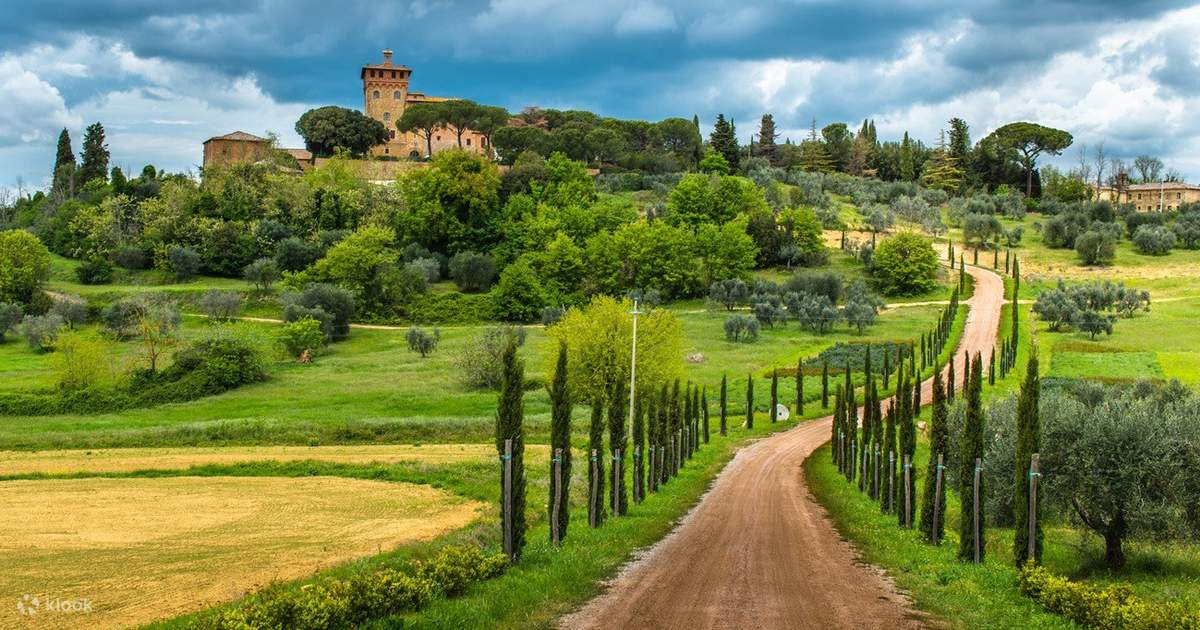 Chianti Half-Day Wine Tasting Tour - Klook Canada