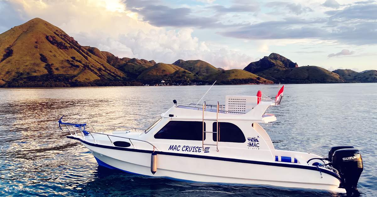 拉布安巴佐出發：科莫多島 Mac Cruise私人快艇之旅 - Klook香港