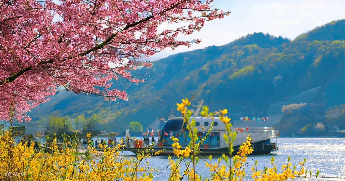 Nami Island Customizable Private Day Tour from Seoul - Klook