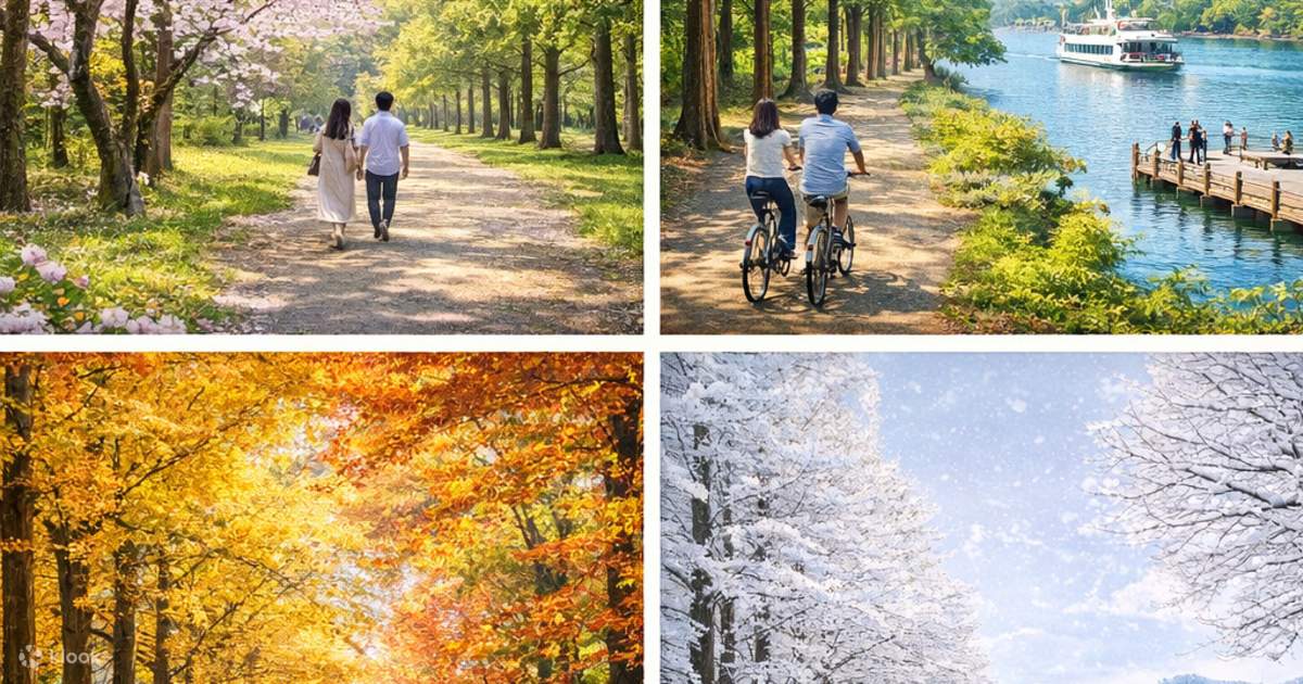 Seoul - Nami Island Shuttle Bus - Klook