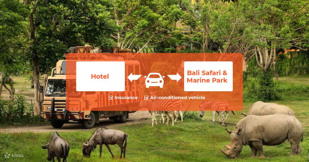 Private Round Trip Transfers for Bali Safari and Marine Park, Indonesia ...