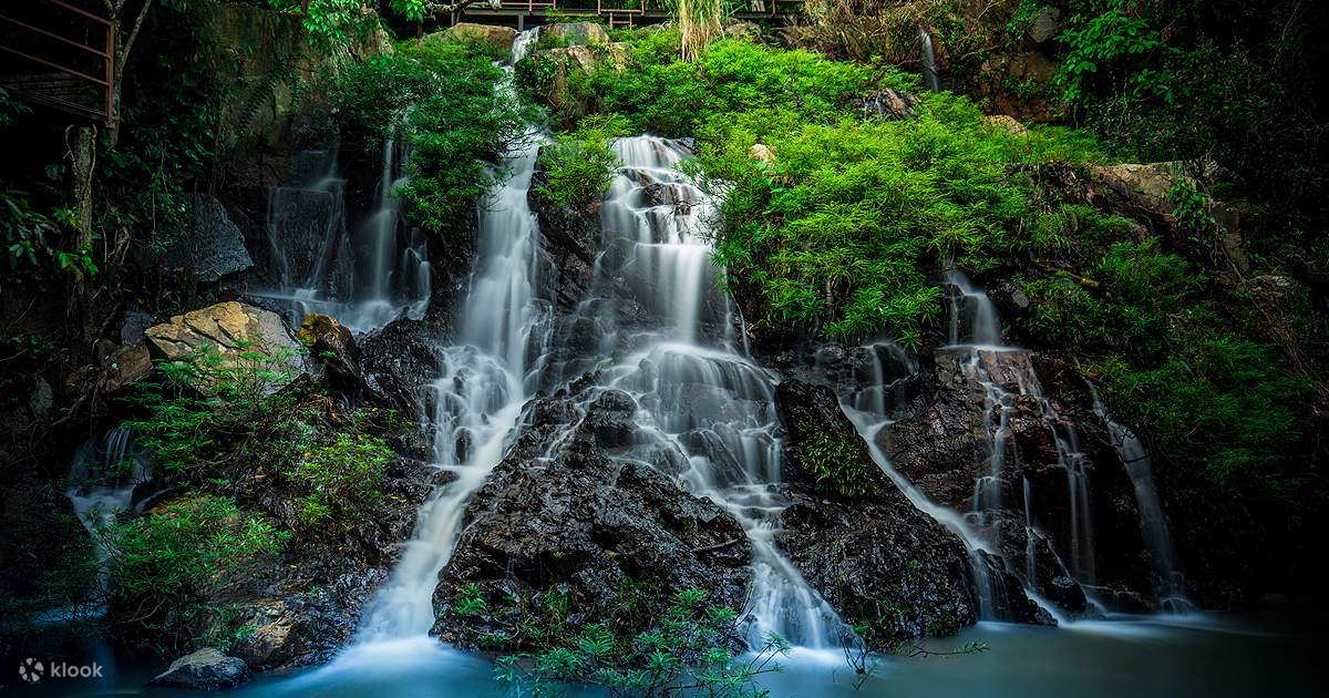 Tur satu hari ke Hutan Hujan Tropis Yanoda di Sanya, Hainan - Klook ...