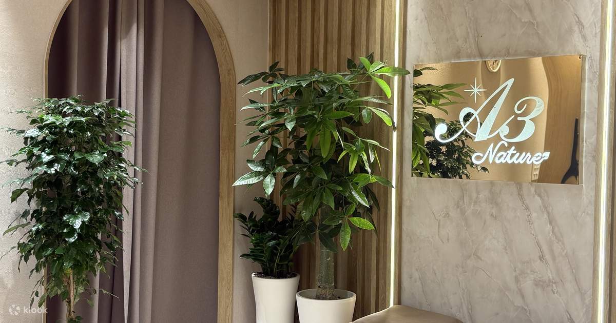 Trải nghiệm Tẩy Tế Bào Chết & Spa Cơ Bản Kiểu Hàn Quốc ở Seoul - Klook ...