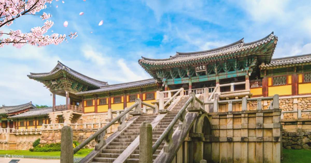 Gyeongju Bulguksa Temple Cherry Blossom Flower Day Tour - Klook United ...