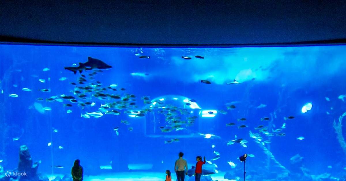 Poema del Mar Aquarium Ticket in Spain (Directe toegang) - Klook ...