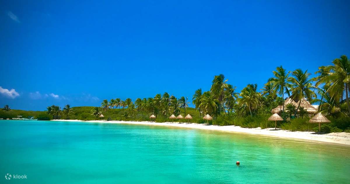 Isla Contoy & Isla Mujeres One-Day Tour from Mexico - Klook Canada