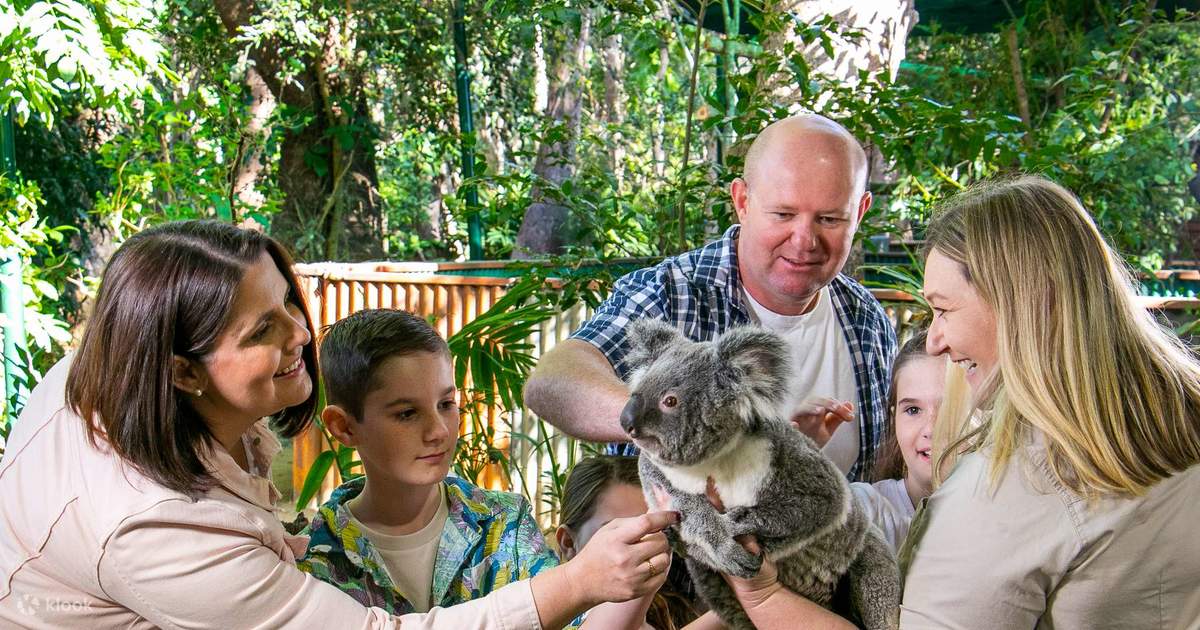 Currumbin Wildlife Sanctuary, Australia's easternmost lighthouse, and ...