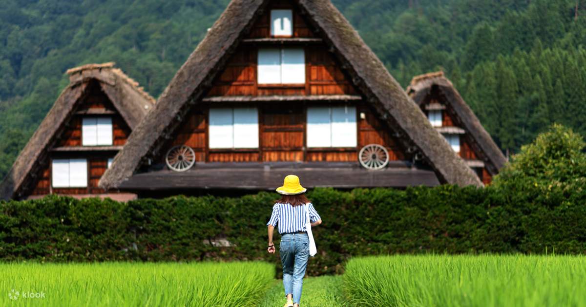 Tour trong ngày Shirakawa-go, Takayama và Gujo Hachiman từ Nagoya ...