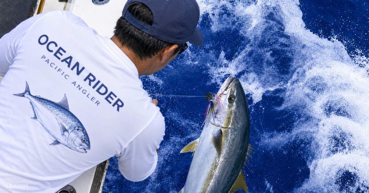 Okinawa Full-Day Private Fishing Tour - Klook