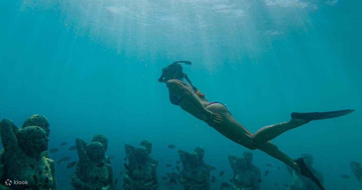 Daegu Freediving One-Day Class Experience - Klook Australia