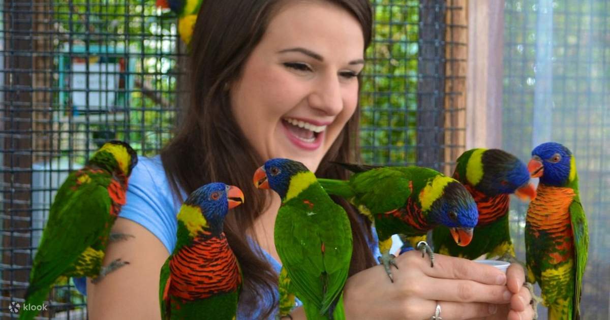 Bird Kingdom Ticket in Niagara Falls - Klook New Zealand