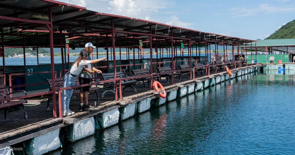 Sham Chung & Tai Po Fish Rafts Eco Discovery Tour - Klook Philippines