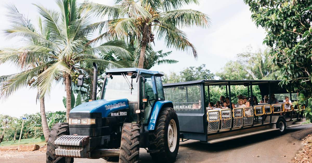 Tropical Fruit World Farm Tour in Byron Bay - Klook