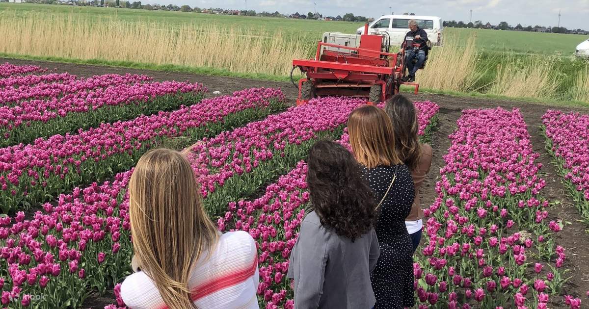 Early Flower guided day tour, departing from Amsterdam - Klook Philippines