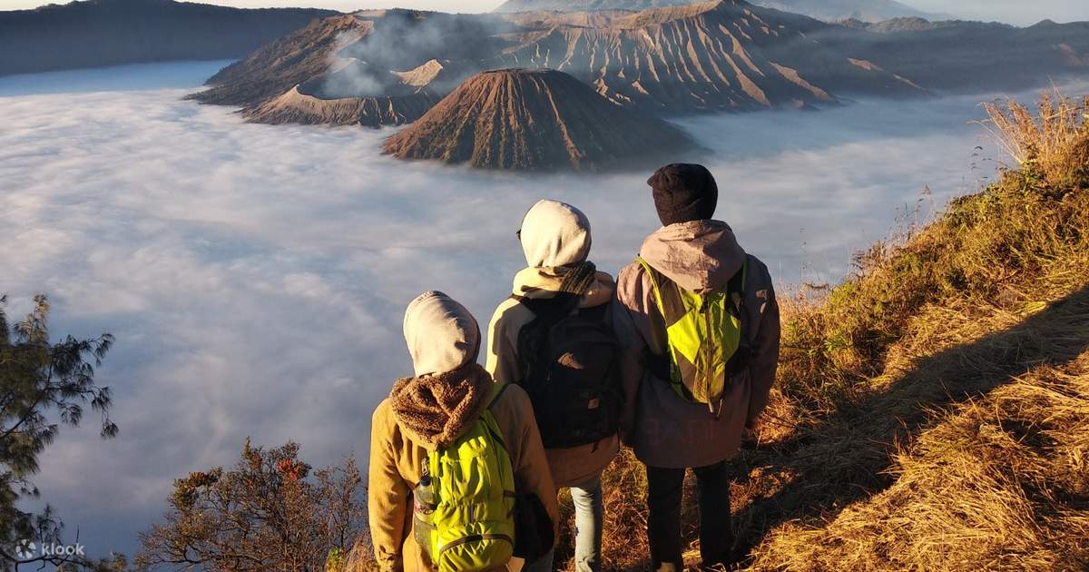 Pribadong Paglilibot ng Ilang Araw sa Bundok Bromo at Ijen kasama ang ...