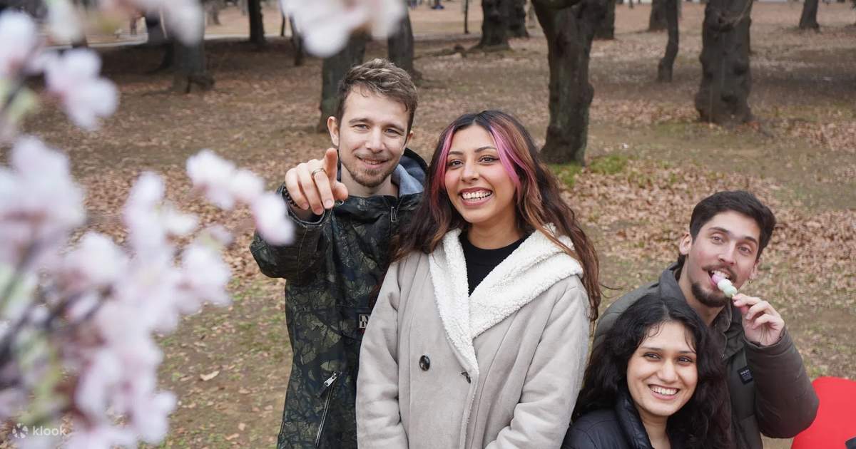 Experience Kimono & Hanami Picnic with Matcha in Yoyogi Park - Klook