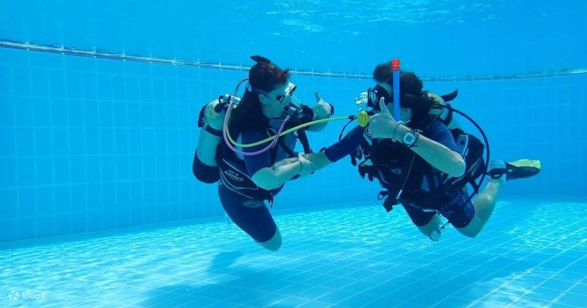 Refresca tus habilidades de buceo con PADI ReActivate en nuestro centro ...