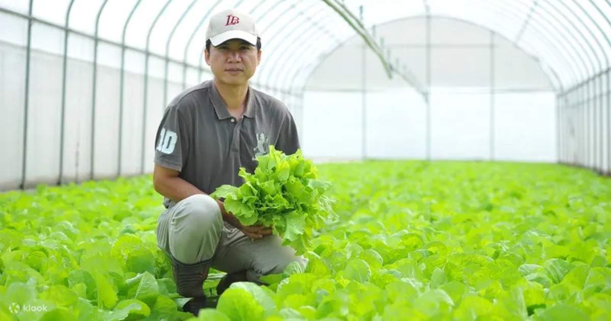 Taoyuan | Formosa Plastics Yangmei Organic Ecological Farm | Farm tour ...
