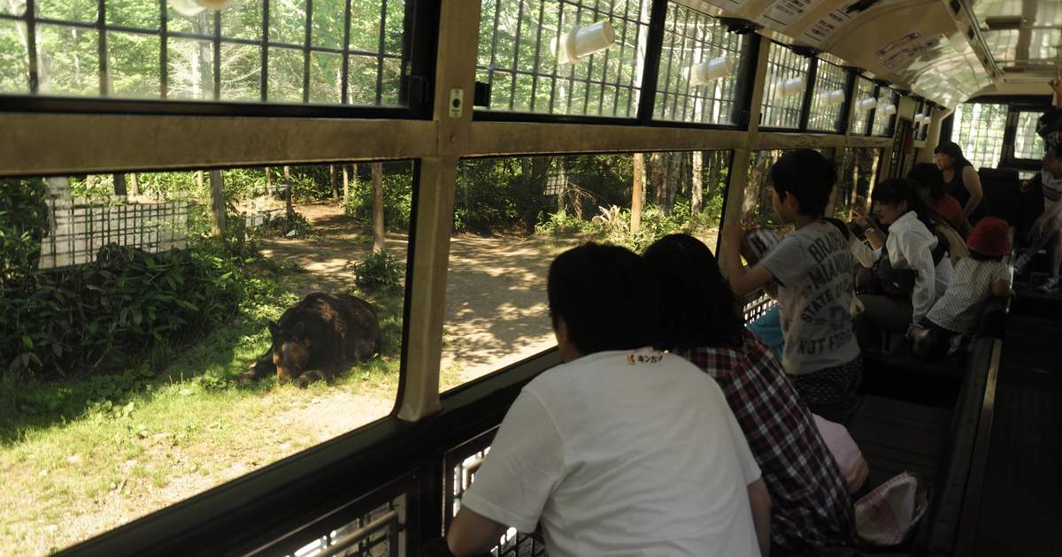 Tur Furano Flower Land & Sahoro Bear Mountain dari Sapporo - Klook ...